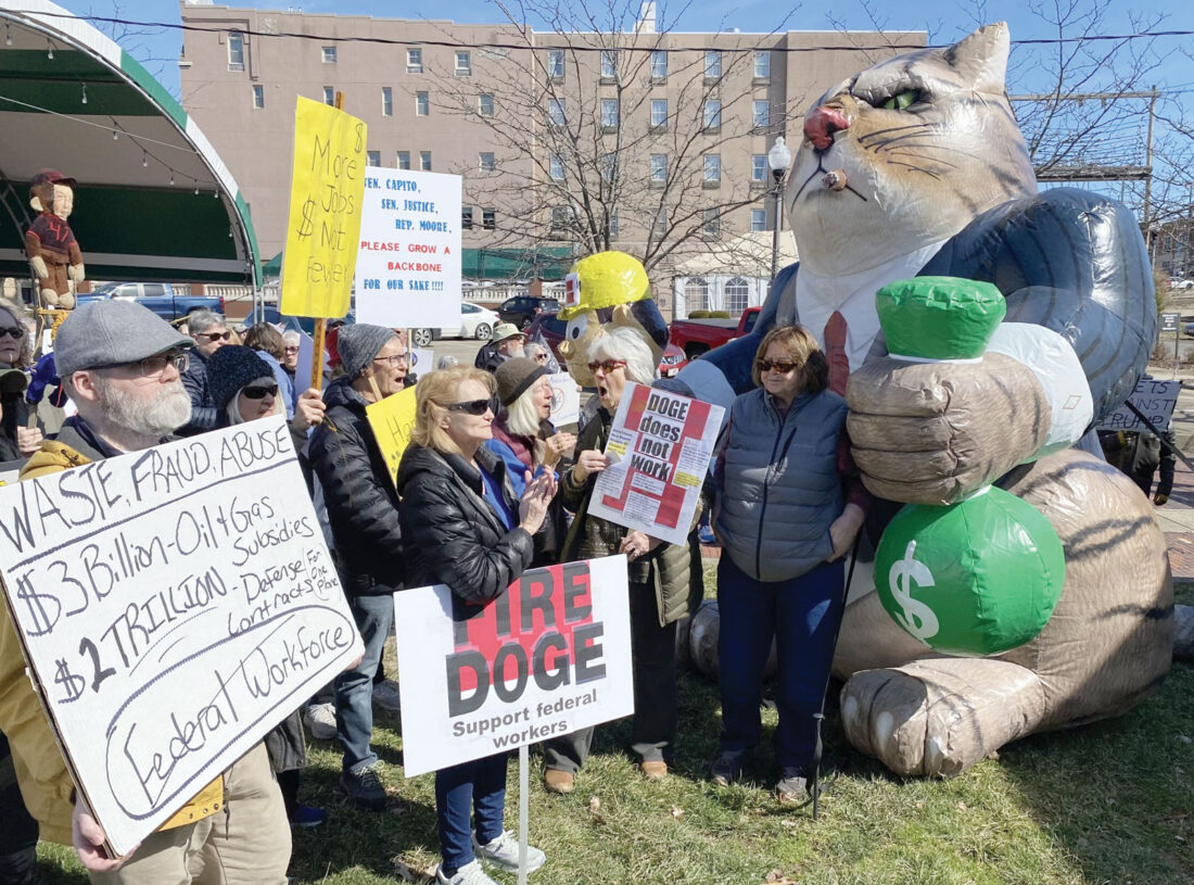 Picture This: DOGE Daze | News, Sports, Jobs - News and Sentinel
